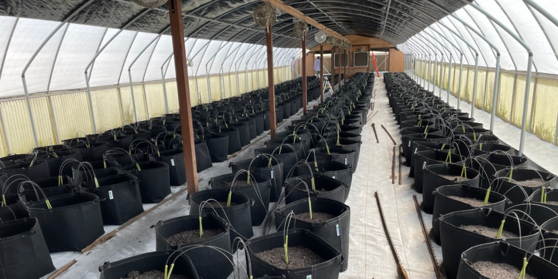 GeoPot | Fabric Pots and Raised Beds – Geopot