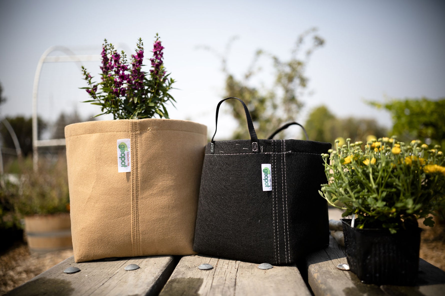GeoPot | Fabric Grow Bags and Raised Beds – Geopot