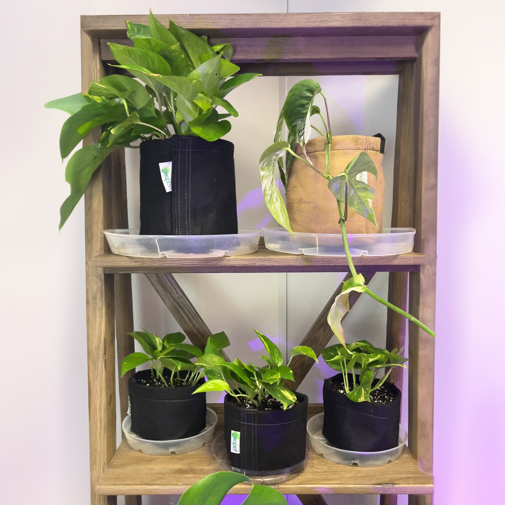 GeoPot | Fabric Grow Bags and Raised Beds – Geopot