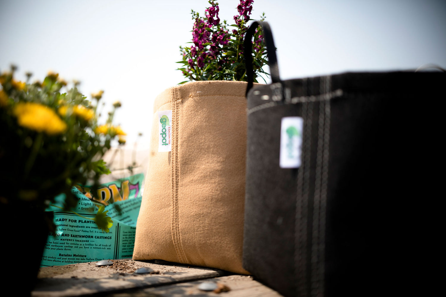 Wholesale Fabric Pots & Grow Bags | GeoPot – Geopot