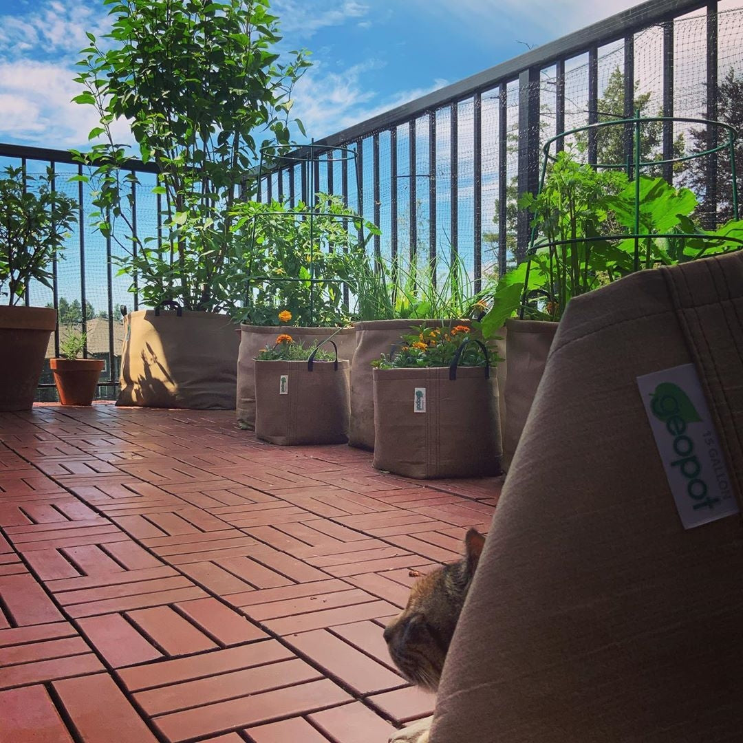 Best Fabric Pots for Gardens | GeoPot Fabric Pots – Geopot